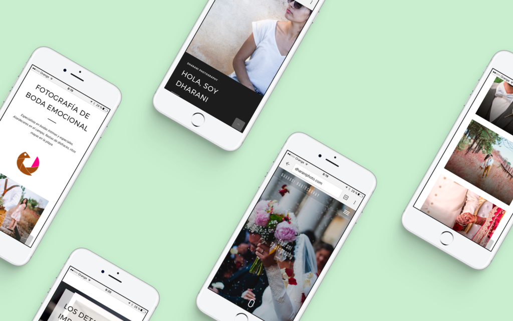 Portfolio Tropycal – Tropycal Interactive